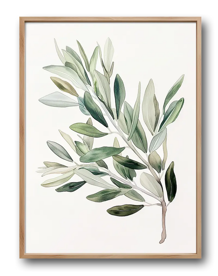 Olive Branch Poster - Digital Wall Art shop - Quality poster